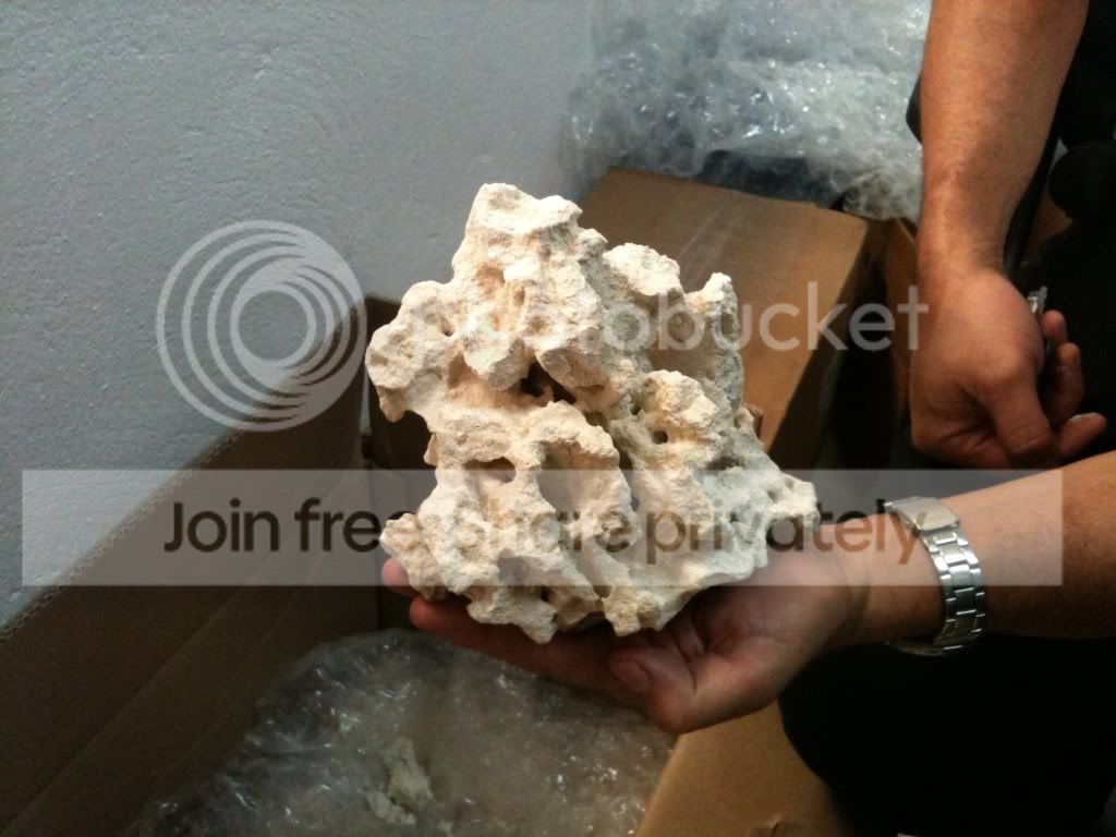 Marco Rocks, Key Largo Rock Thread | Reef Sanctuary