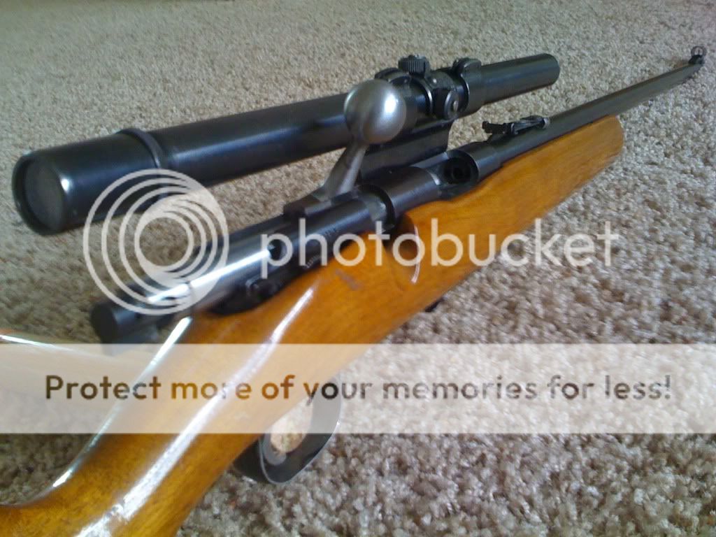 Springfield 83 sights | Rimfire Central Firearm Forum