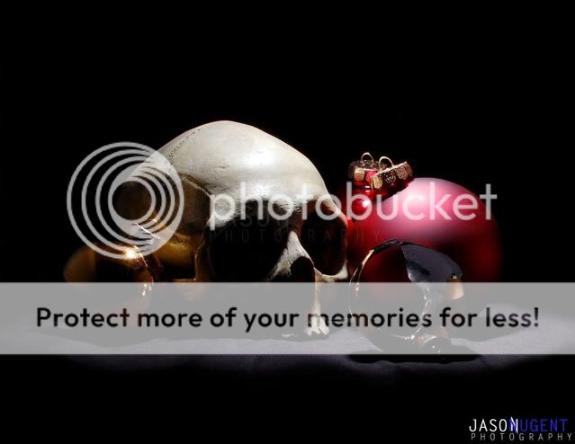 A Macabre Christmas… | Jason Nugent Photography